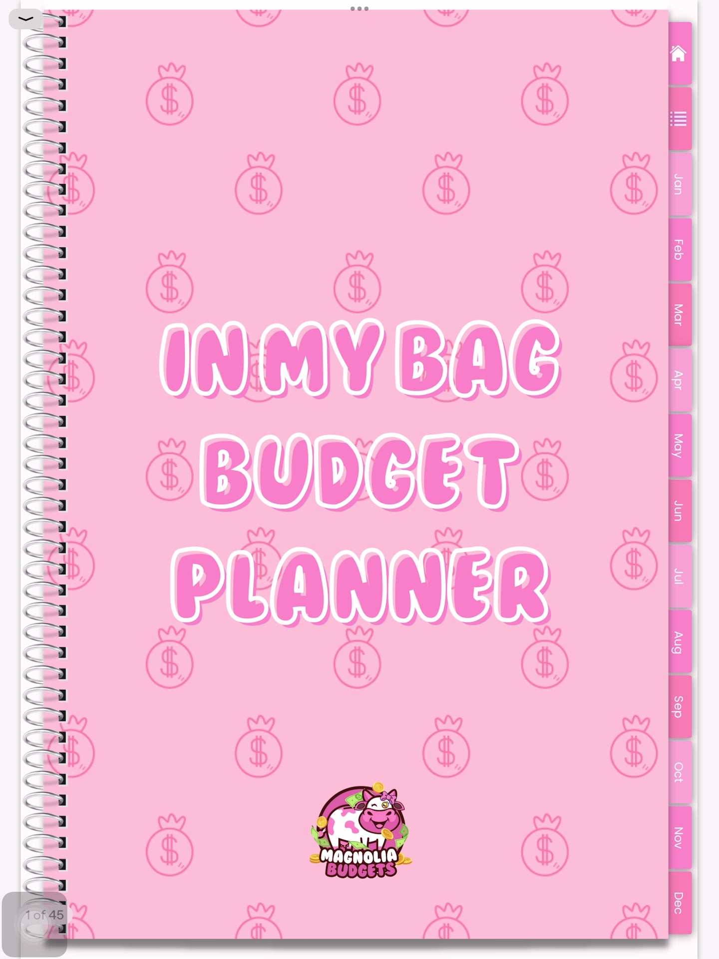 DIGITAL | In My Bag Budget Planner | Goodnotes Planner | Monthly Digit ...